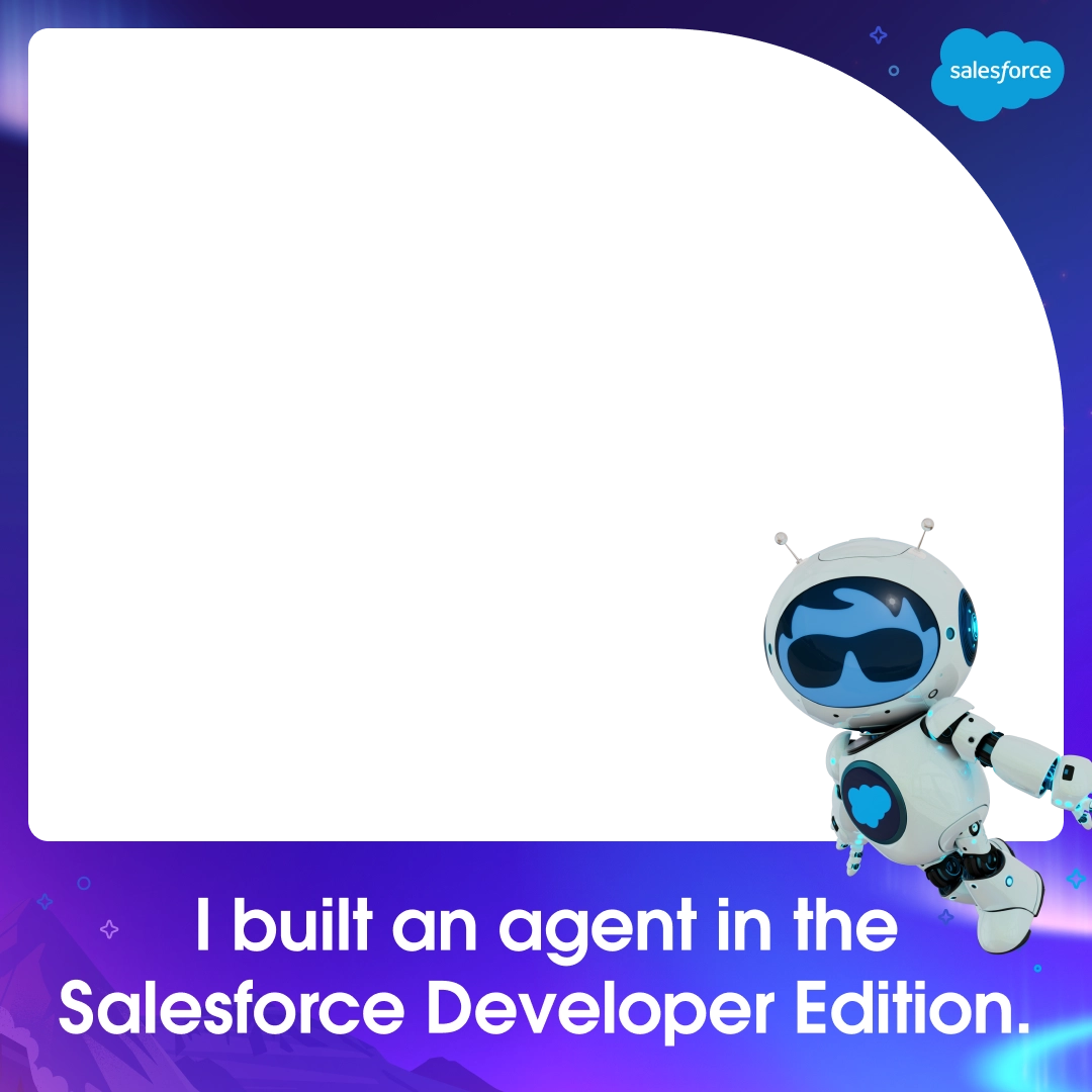Salesforce Developer Edition Quest